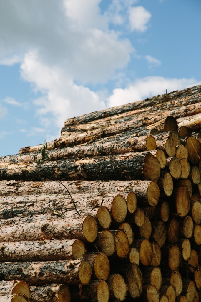 Log Pile | Exclusive Commercial Photographer - Eau Claire, Wisconsin