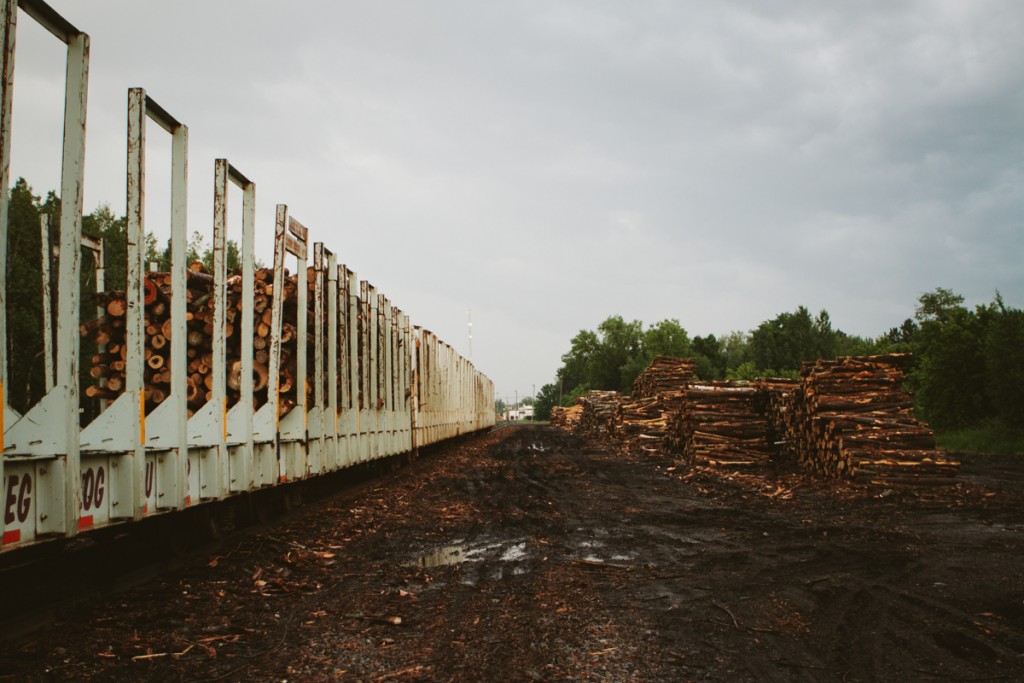 Pulpwood Logging Yard and Rail Loading | Exclusive Commercial ...