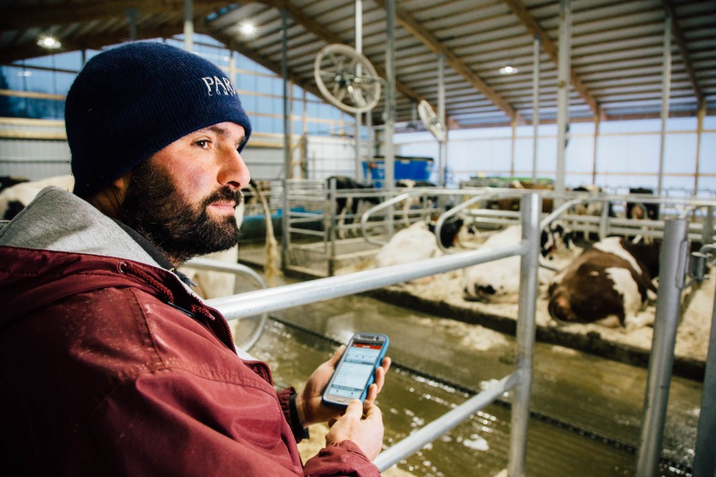 scientific-holsteins-lely-herd-management-computer-system-farmer ...